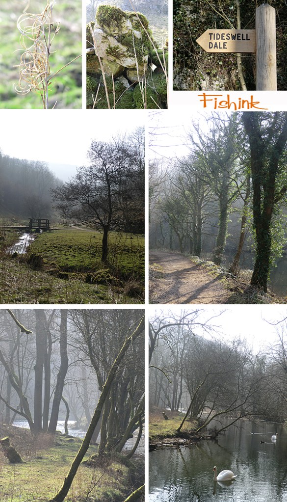 Fishink Walks around Tideswell Dale in the Peak District.