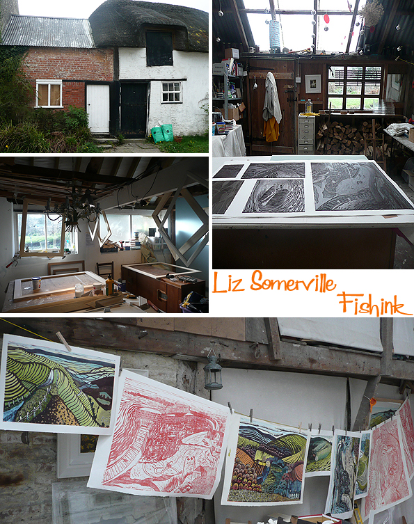 Liz Somerville Printmaker and lover of the landscape