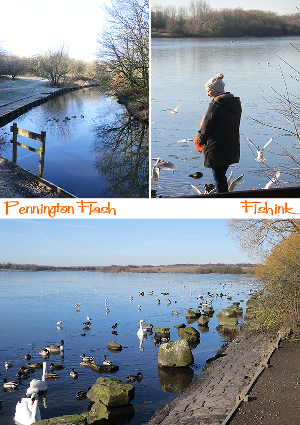 Pennington Flash Nature reserve and a Flying Dog