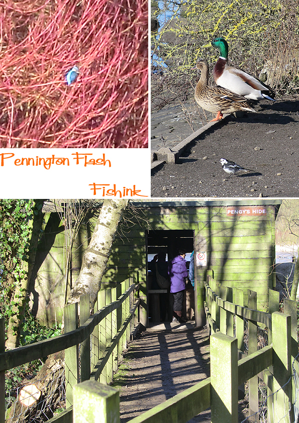 Pennington Flash Nature reserve and a Flying Dog