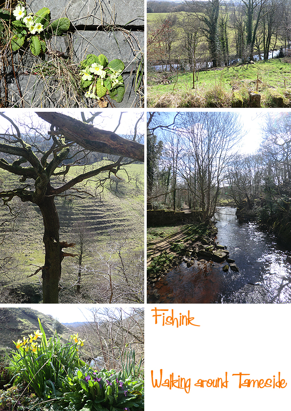 Fishink Walks Broadbottom to Coombes Ridge