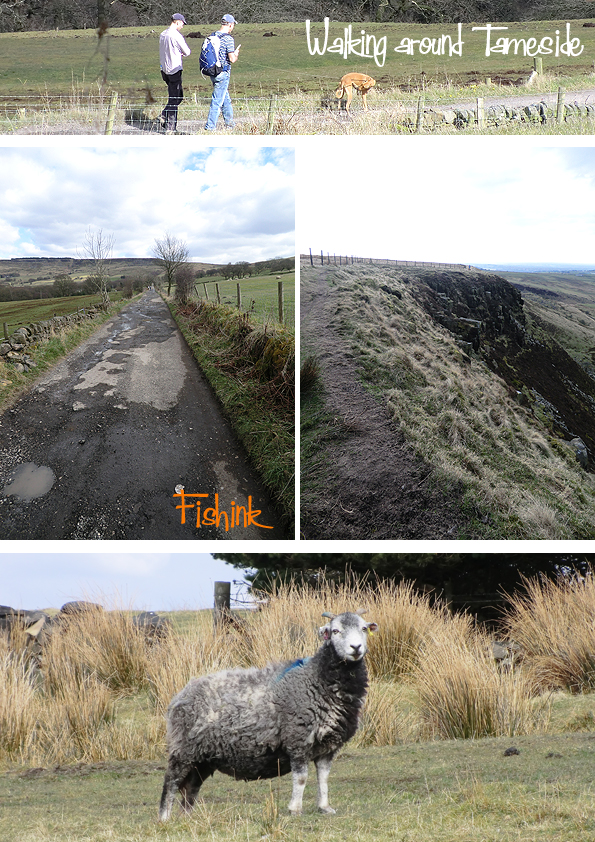 Fishink Walks Broadbottom to Coombes Ridge