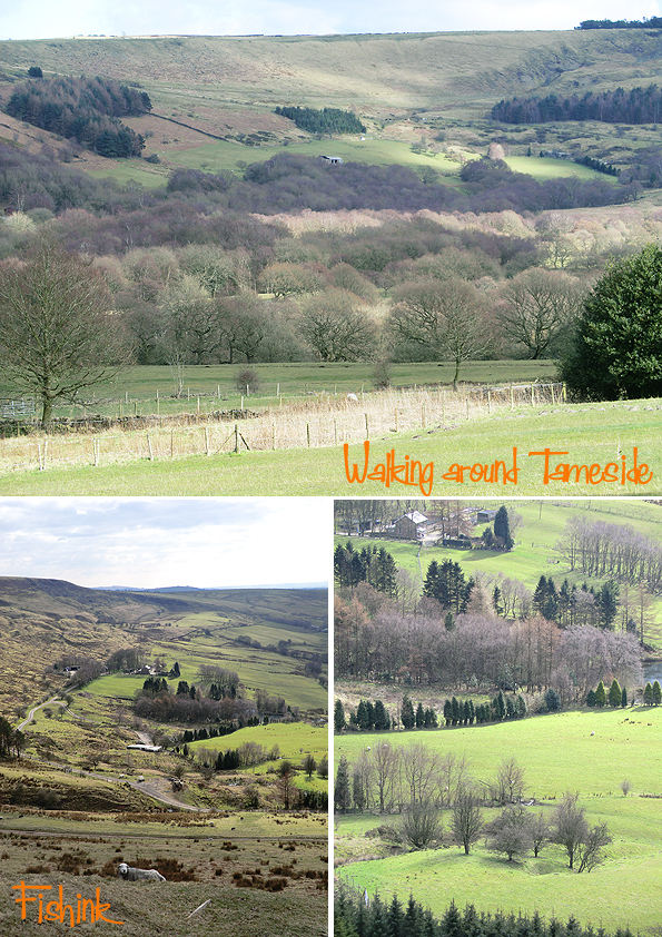 Fishink Walks Broadbottom to Coombes Ridge