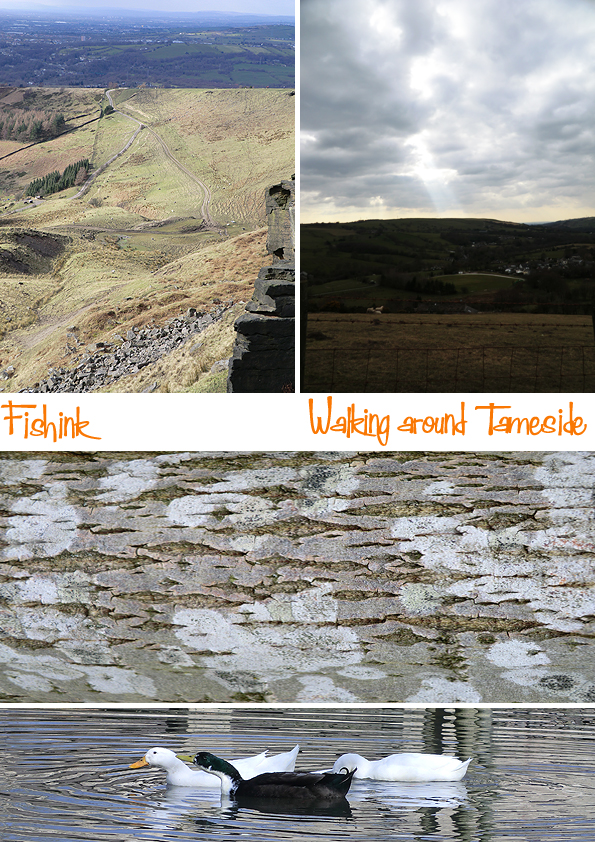 Fishink Walks Broadbottom to Coombes Ridge