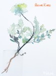 Watercolour Workshop with Susan Kane